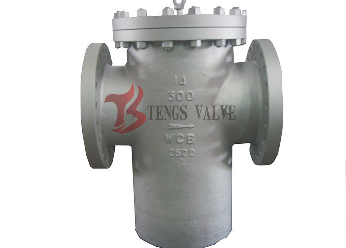 API Simplex Pipeline Basket Strainer Flange Type Screen Stainless Steel For Liquid